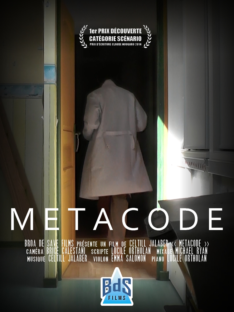 Metacode – Broa de Save